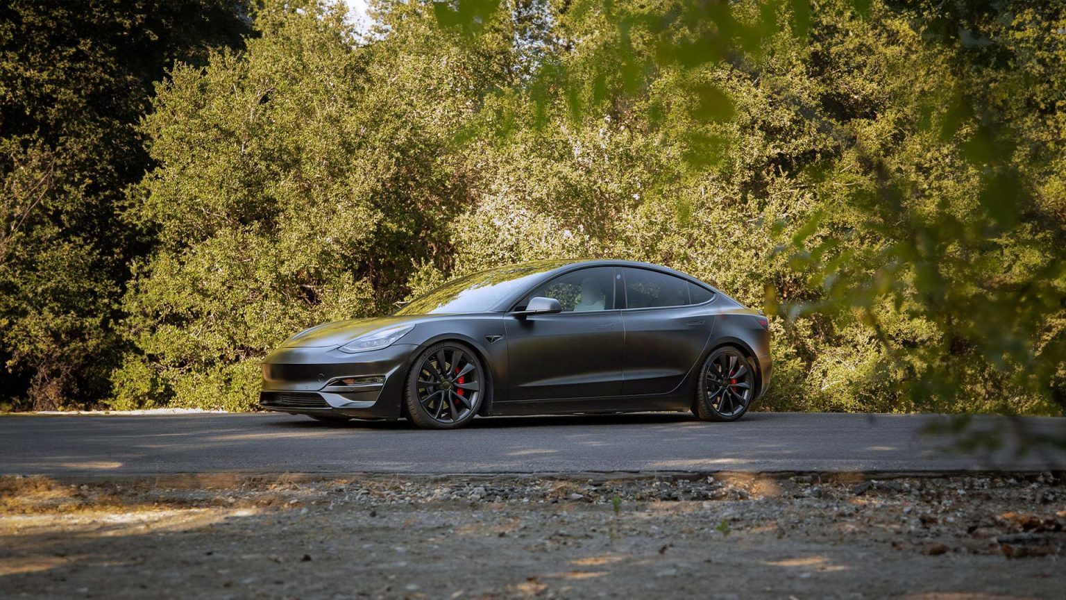 Tesla Model 3 Tires | Sizes & Specs | Lionhart Tires